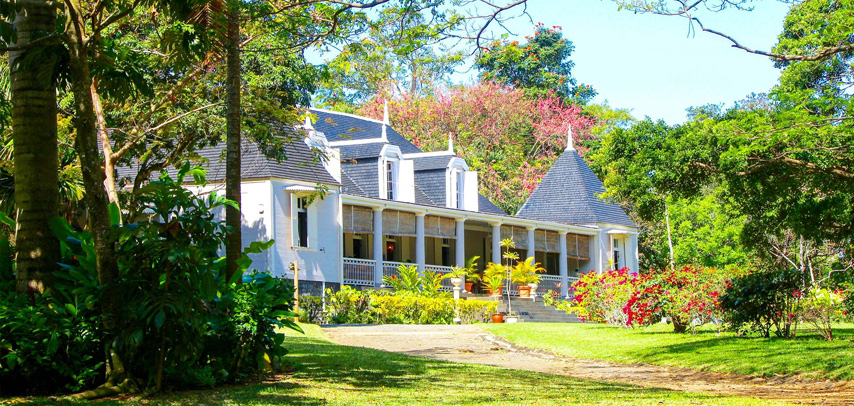 Tea Route - Silverline